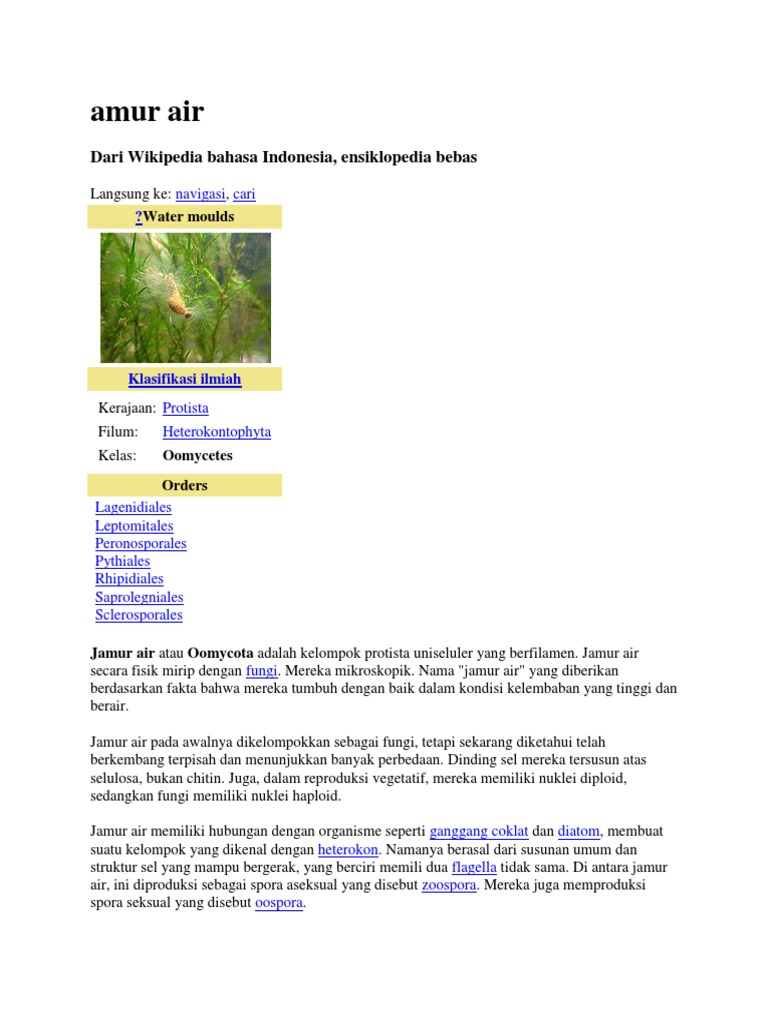 Jamur Air | PDF