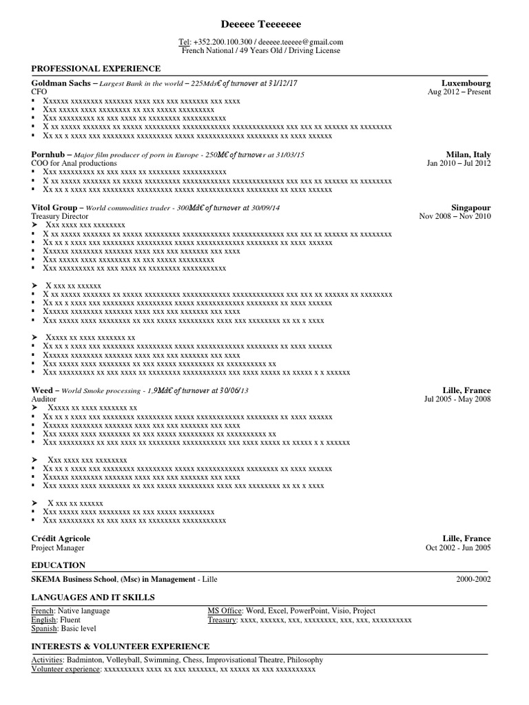 Deeeee Teeeeeee: Professional Experience Goldman Sachs - Luxembourg ...