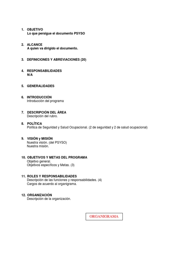 Estructura Del Programa SYSO | PDF