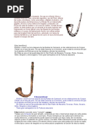 Instrumento Erke | PDF | Trompeta | Instrumentos musicales