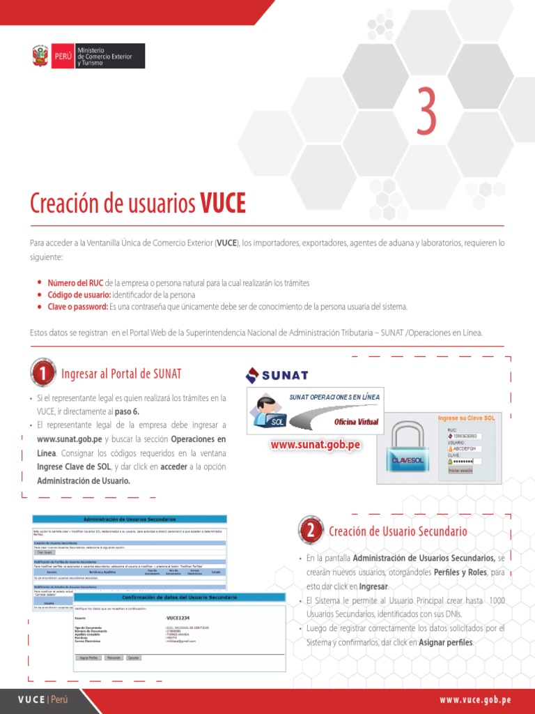 Creacion Usuarios Vuce | PDF | Contraseña | Áreas de informática