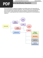 Bacterial Classification Flow Chart | PDF