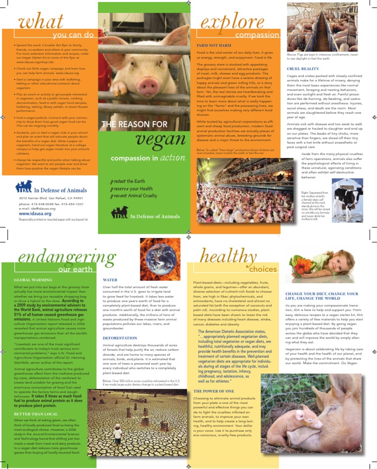 The Reason For Vegan - Compassion in Action | PDF