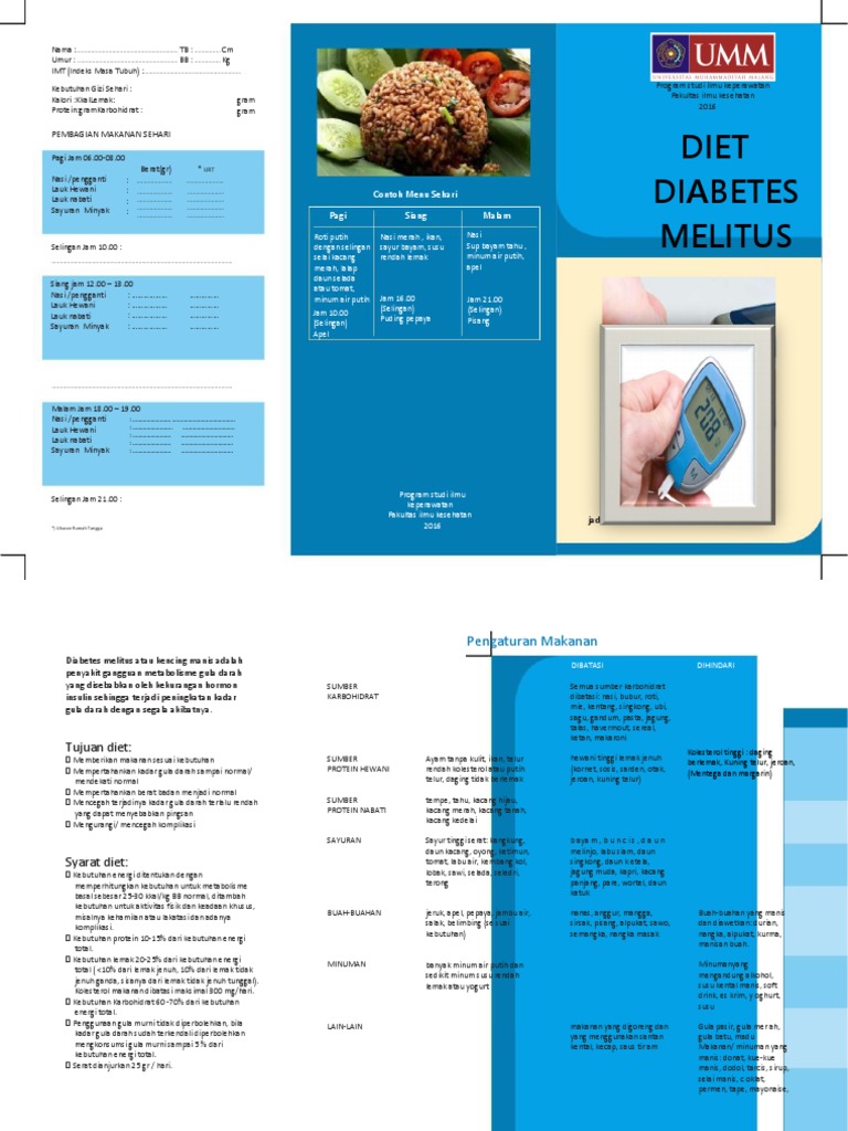 Diet Diabetes Melitus: Contoh Menu Sehari Pagi Siang Malam | PDF
