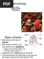 CAP Accreditation Checklists - 2021 Edition: Checklists Subdisciplines ...