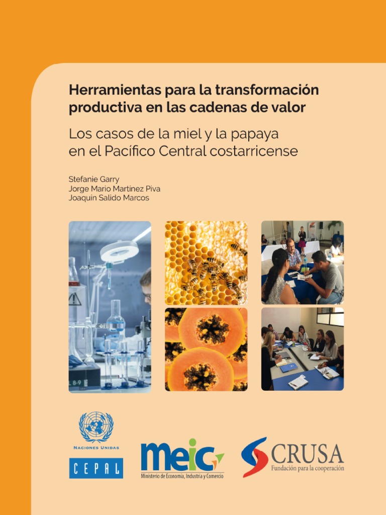 Herramientas para La Transformación Productiva en Las Cadenas de Valor ...