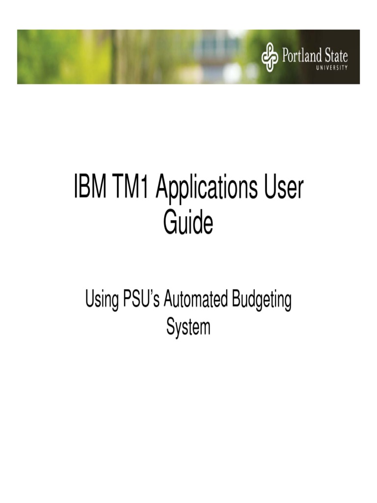 TM1 Budget Entry User Guide - 0 | PDF | Microsoft Excel | Database Index