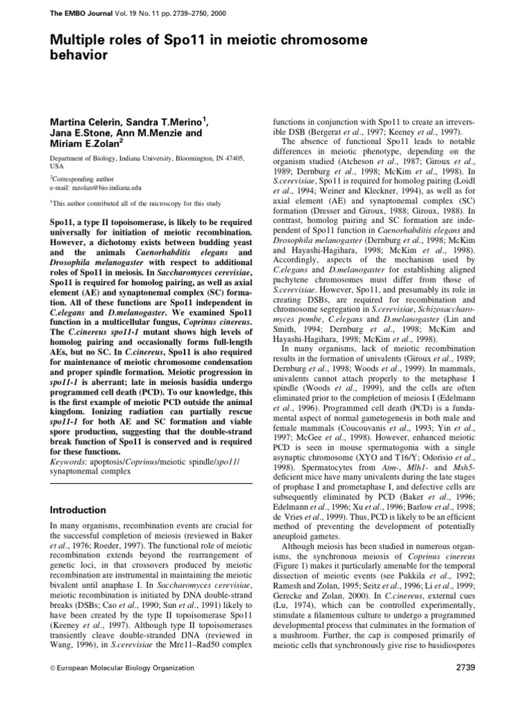 Celerin 2000 EMBOJ Multiple Roles of Spo11 in Meiotic Chromosome ...
