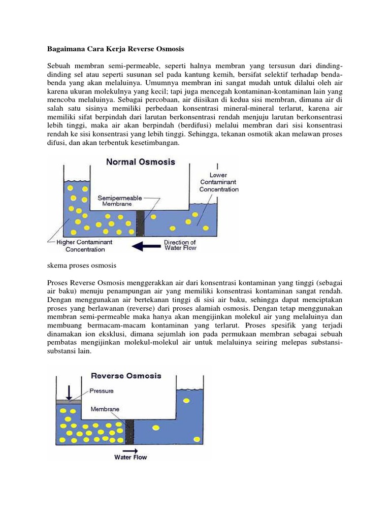 Bagaimana Cara Kerja Reverse Osmosis | PDF | Griya & Taman | Teknologi ...