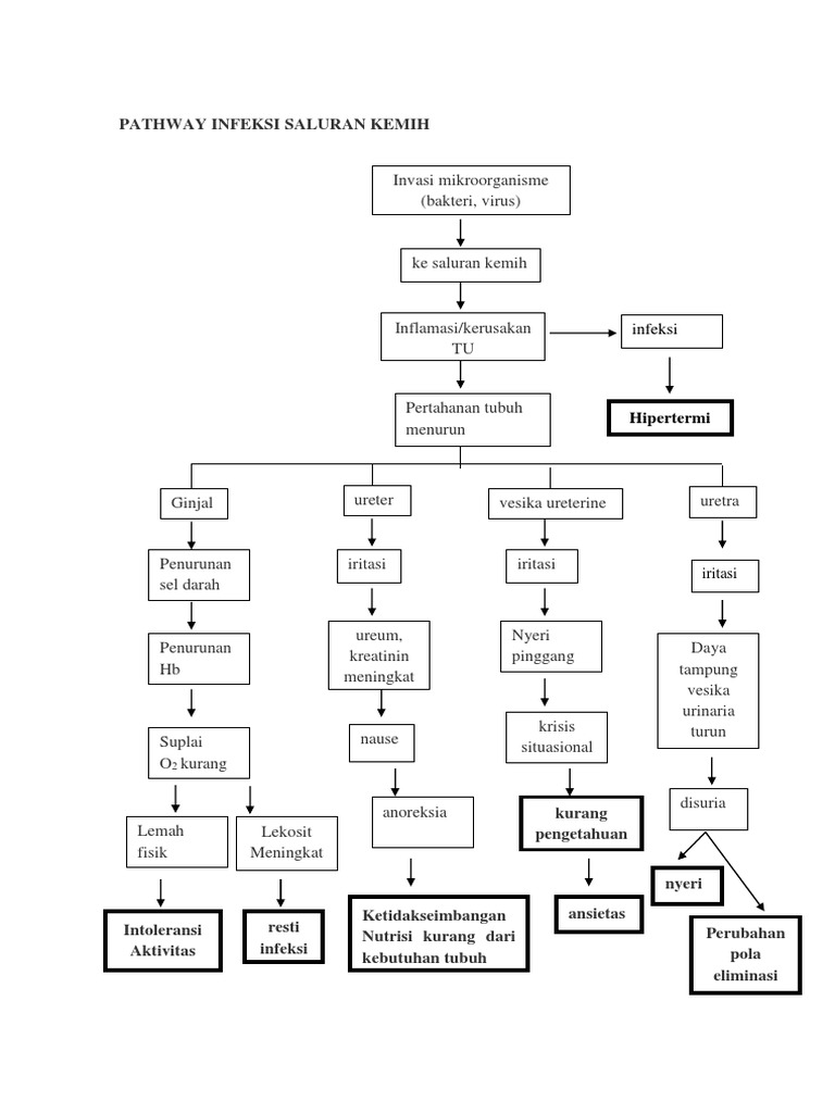 Pathway Infeksi Saluran Kemih | PDF