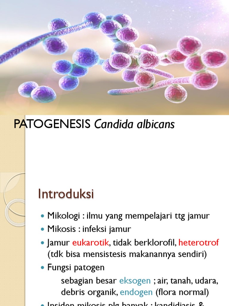 Patogenesis Infeksi Jamur | PDF