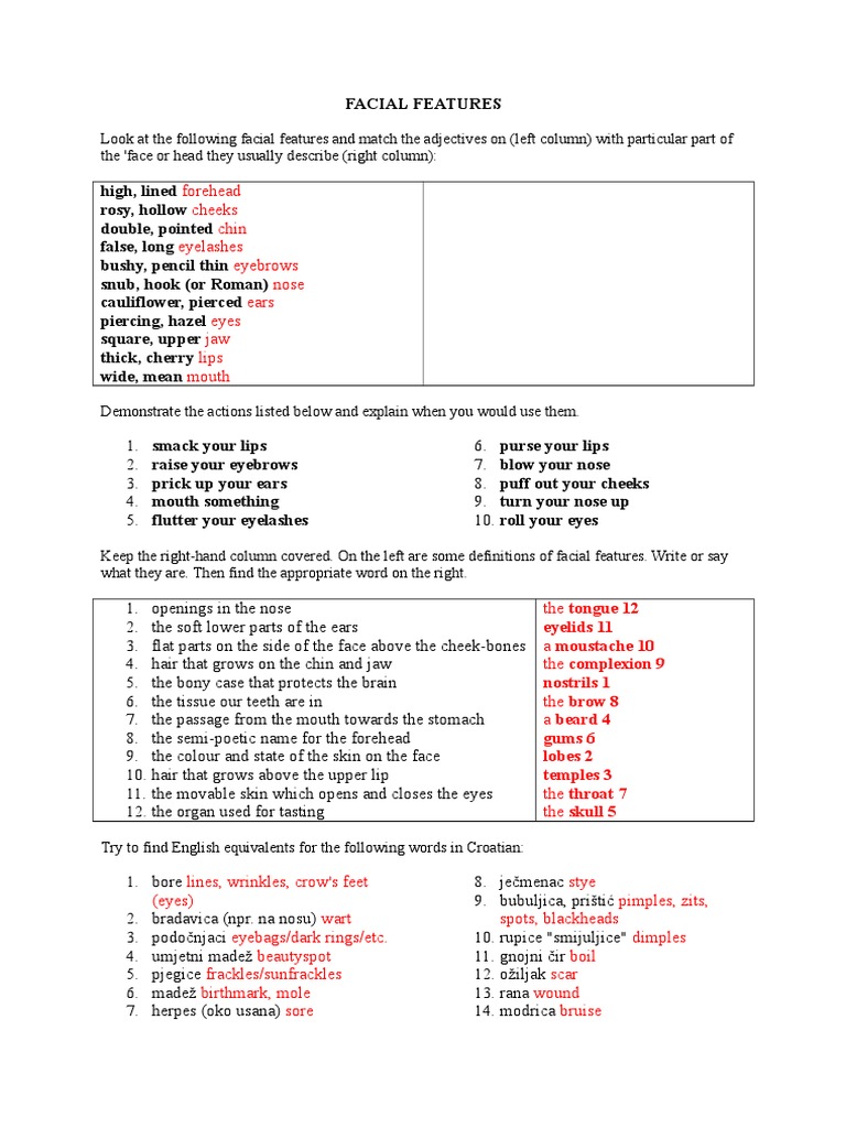 Face KEY | PDF | Face | Eyebrow