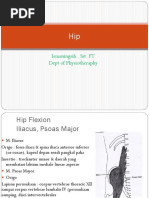 Muscle OIA | PDF | Vertebral Column | Vertebra