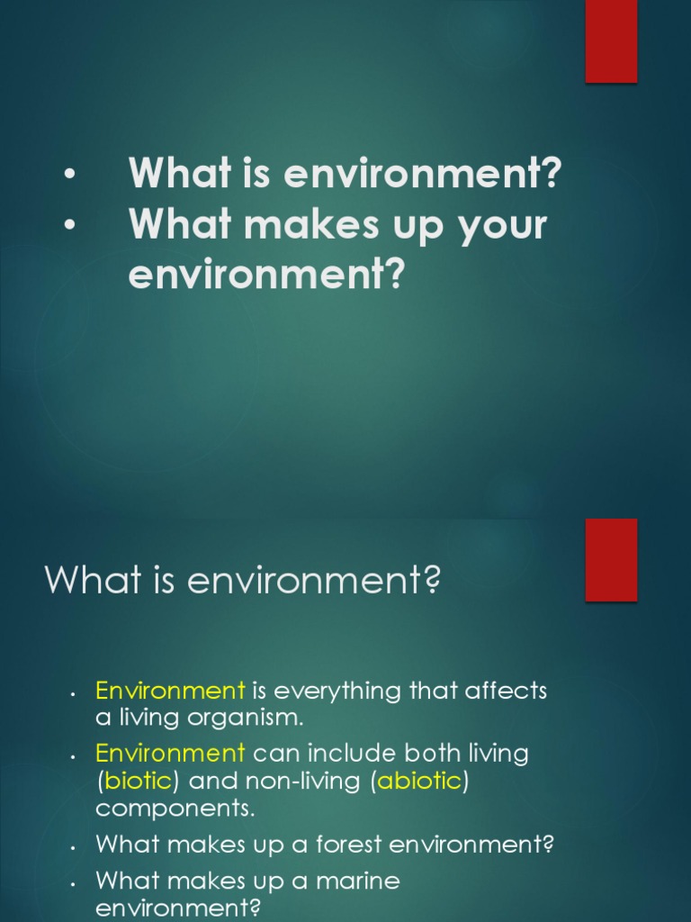 What Is Environment - Students | PDF | Renewable Resources | Resource