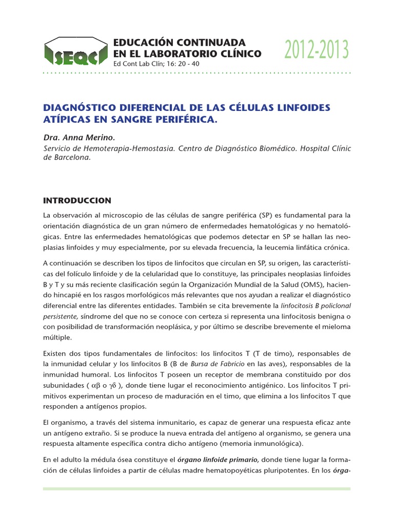 Linf Atipicos PDF | PDF | Linfocitos | Sistema linfático