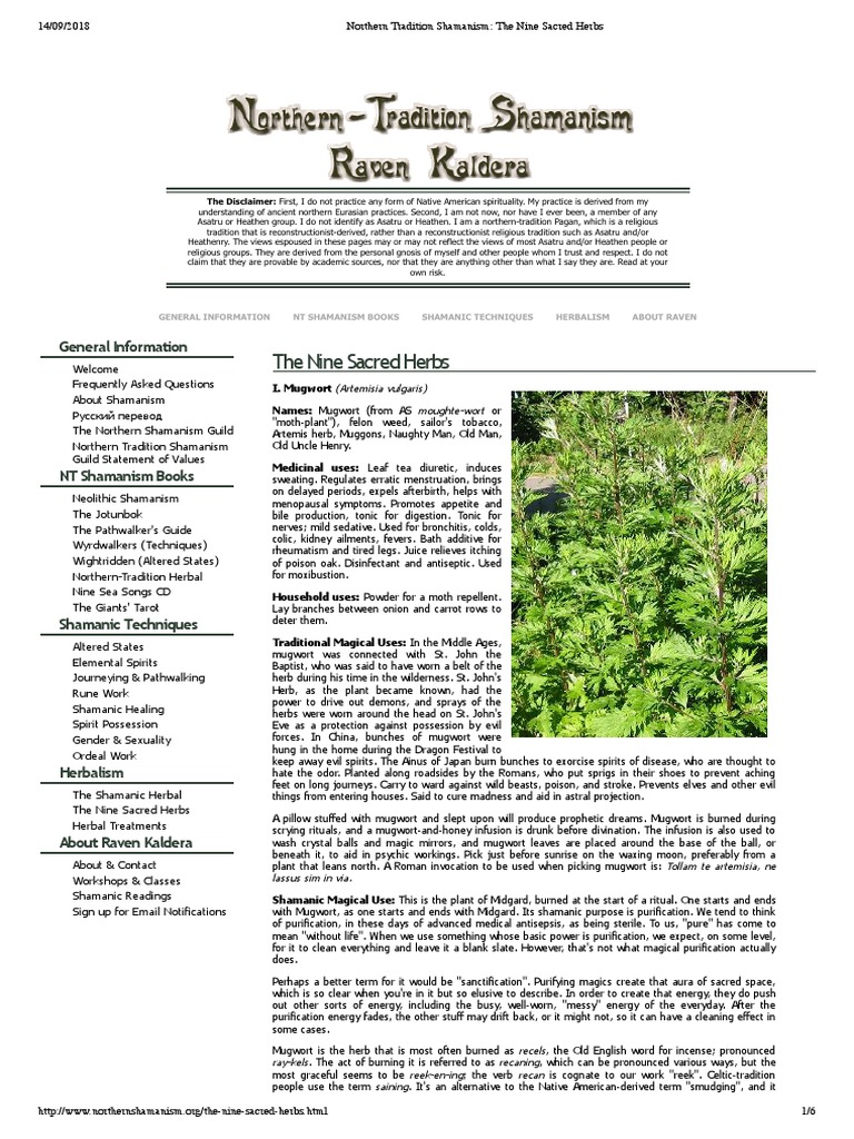 Northern Tradition Shamanism - The Nine Sacred Herbs | PDF | Fennel ...