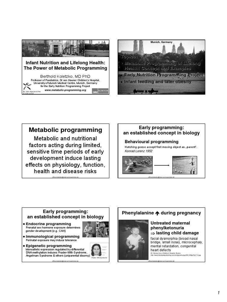 Early Metabolic Programming - 1 - InfantNutrition - B.Koletzko PDF ...