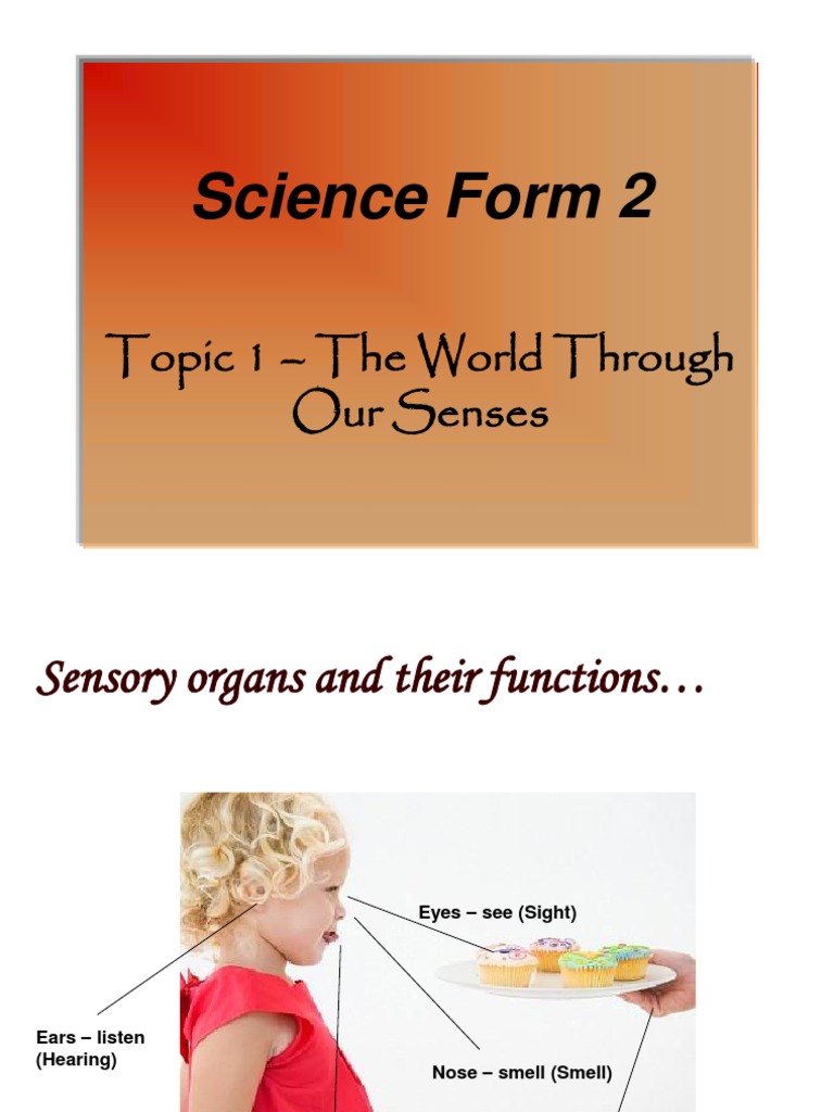 Form 2 Science Chapter 1 | PDF | Stimulus (Physiology) | Senses
