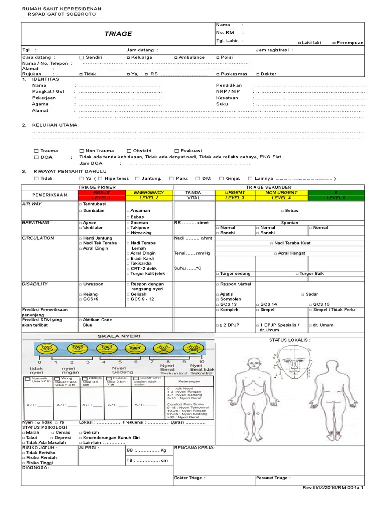 4a.1 Dan 4a.3 Lembar Triage Dan Lembar Pengawasan Komprehensif | PDF