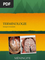 Pediatric Cellulitis Treatment Guide | PDF