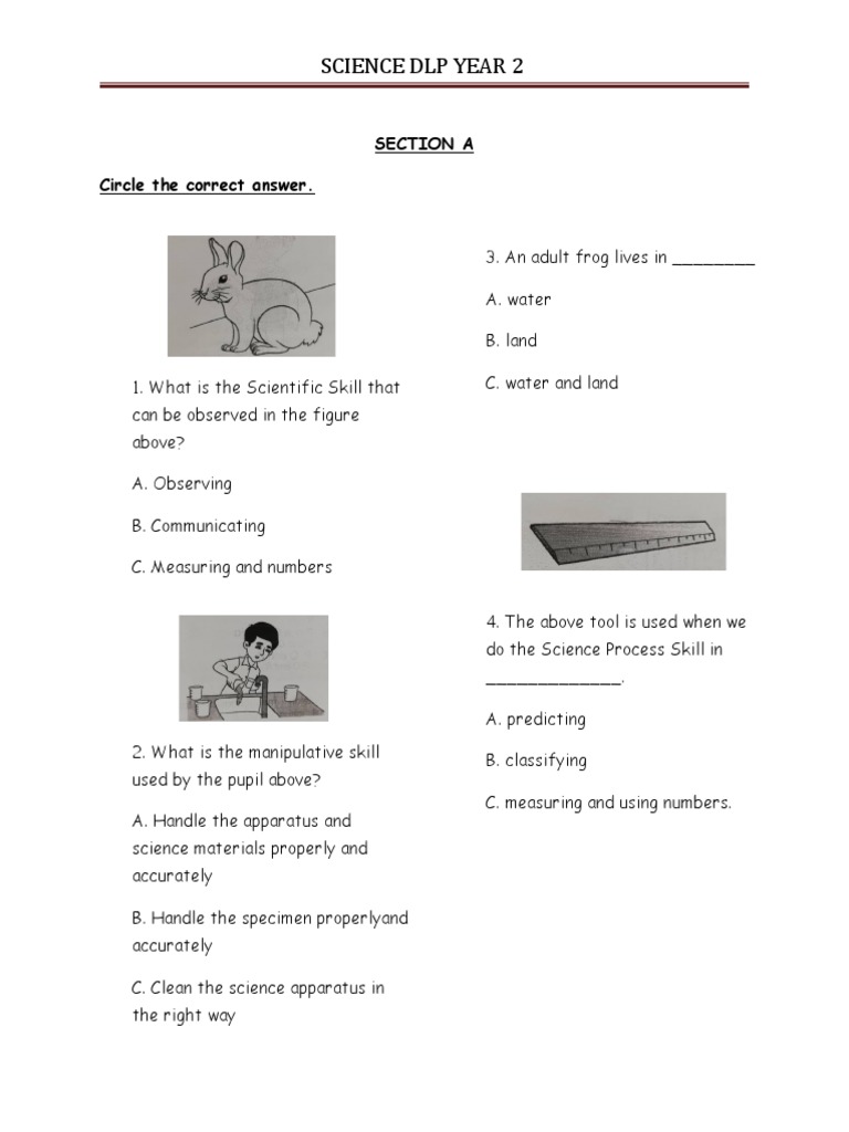 Year 2 DLP | PDF | Egg | Science