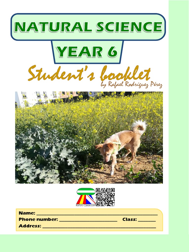 Student's Booklet (Natural Science 6) | PDF | Reproductive System ...