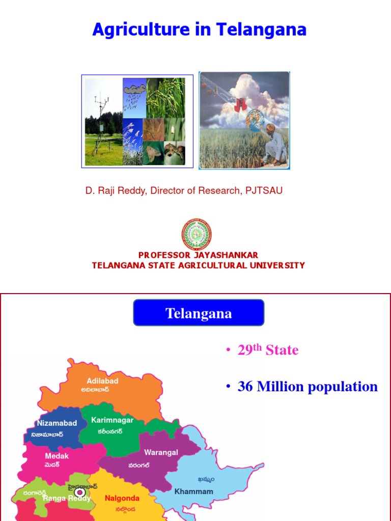 Horticulture Potential in Telangana | PDF | Agriculture | Food And Drink