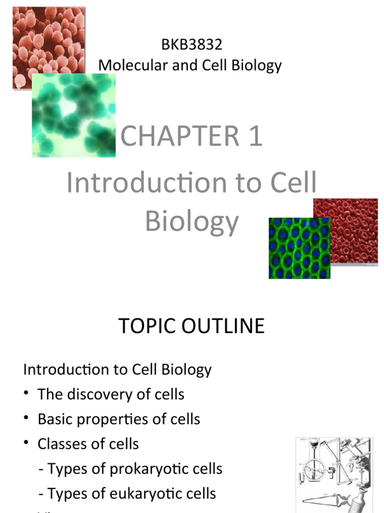 Chapter 1 Introduction To Cell Biology | PDF | Biology | Cell (Biology)