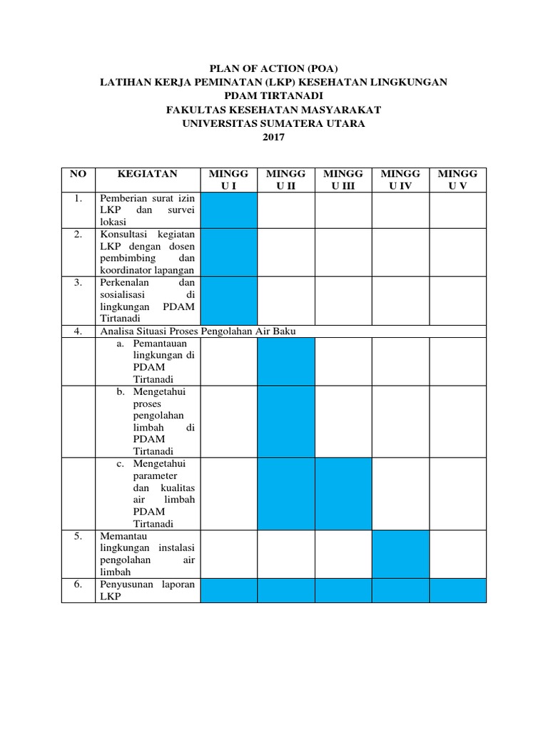 Plan of Action Pdam | PDF