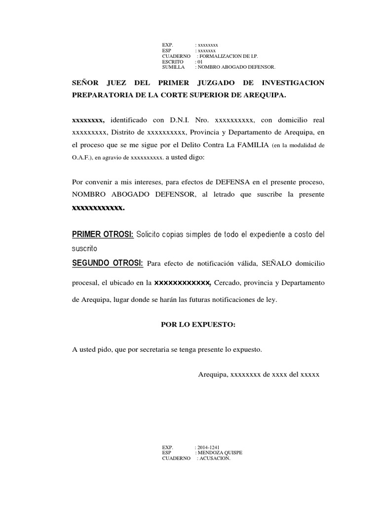 Nombramiento De Abogado Defensor Pdf Ley Común Virtud