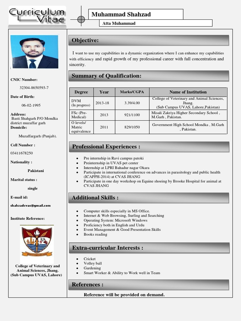 CV Shahzad | PDF | Computing | Business