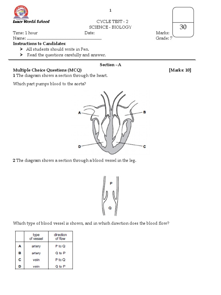 Grade 7 | PDF | Circulatory System | Atrium (Heart)