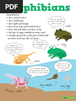 Example of A Detailed Lesson Plan | PDF | Amphibian | Reptile