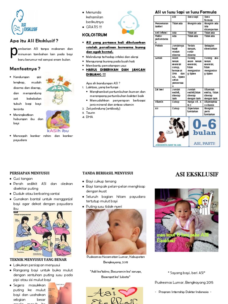 Pamflet ASI Eksklusif | PDF