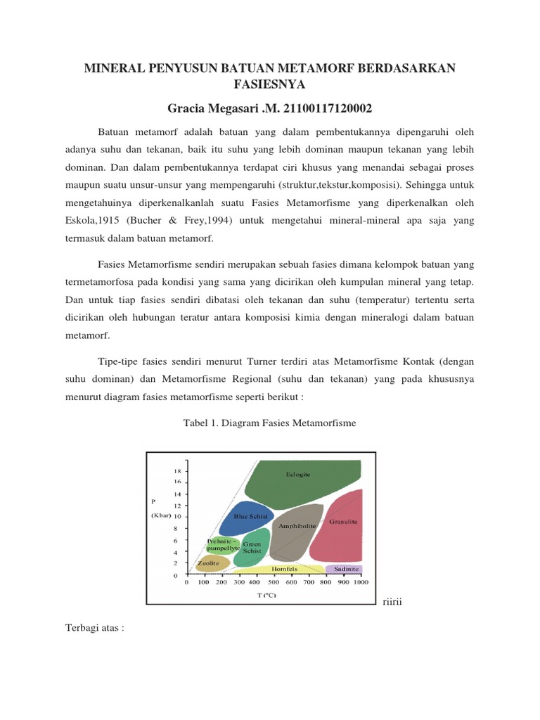 Fasies Metamorf | PDF | Sains & Matematika