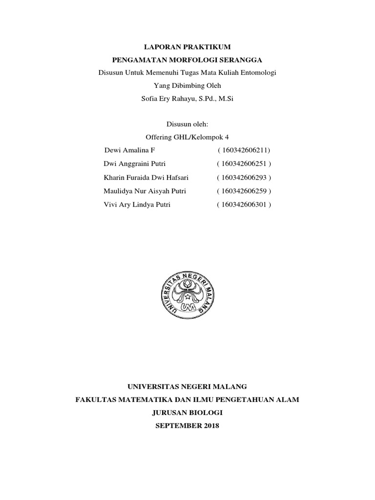 Laprak Morfologi Serangga | PDF | Kesehatan Holistik | Sains & Matematika