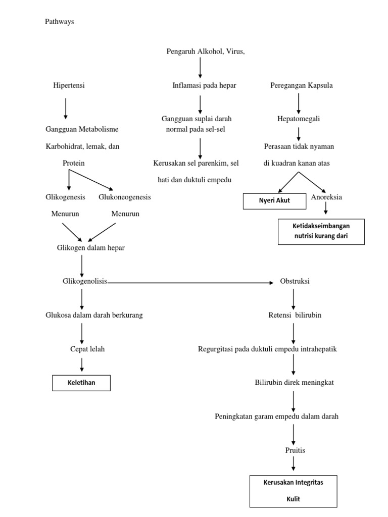 Pathway Hepatitis B | PDF