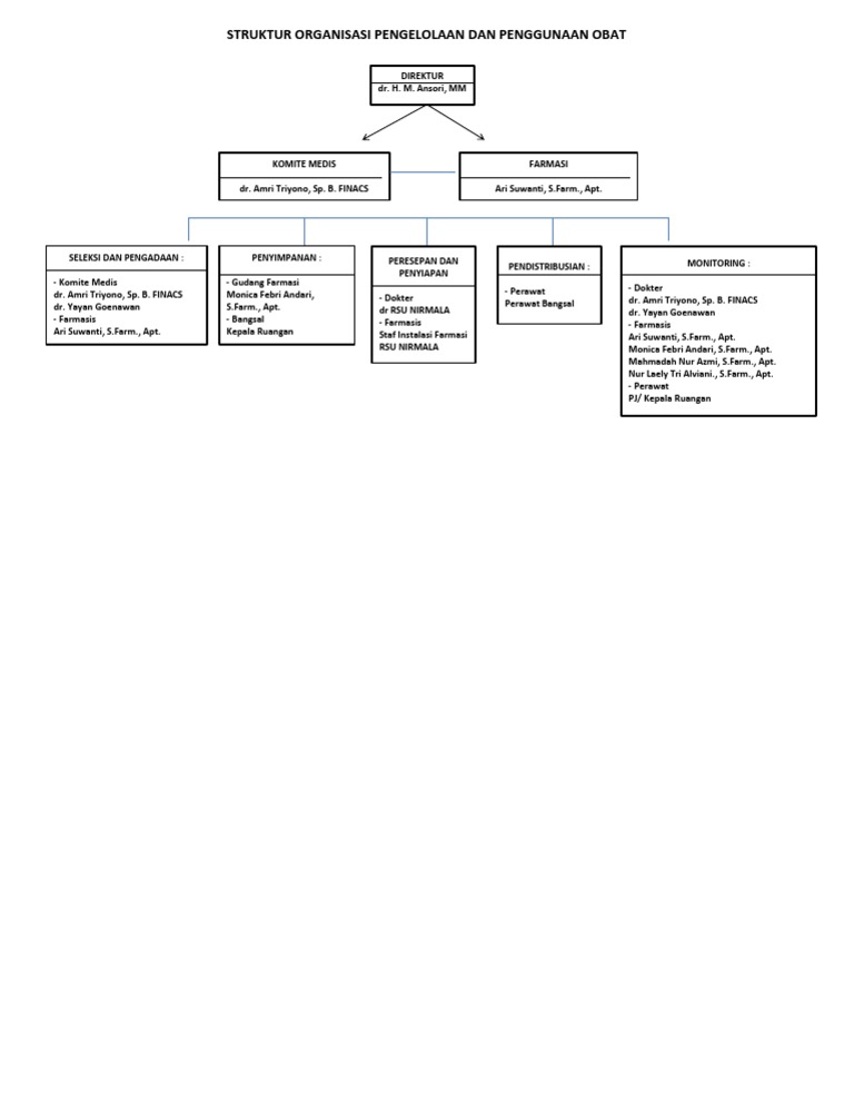 Struktur Organisasi Pengelolaan Dan Penggunaan Obat2 | PDF | Kesehatan Holistik