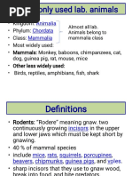 10 Fastest Animals in The World | PDF