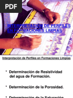 Manual Petrel Basico | PDF | Archivo de computadora | Ventana (informática)