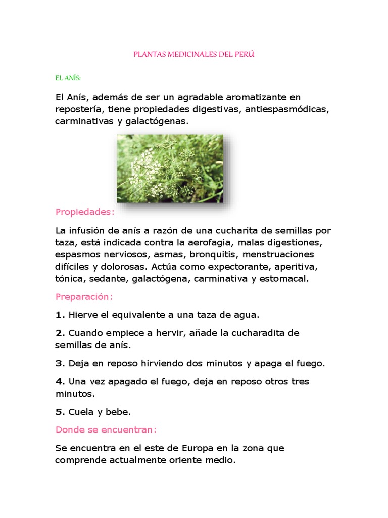 Las Plantas Medicinales en El Perú | PDF | Bienestar | Medicina