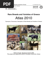 TheHunter Call of The Wild Spreadsheet | PDF | White Tailed Deer | Deer