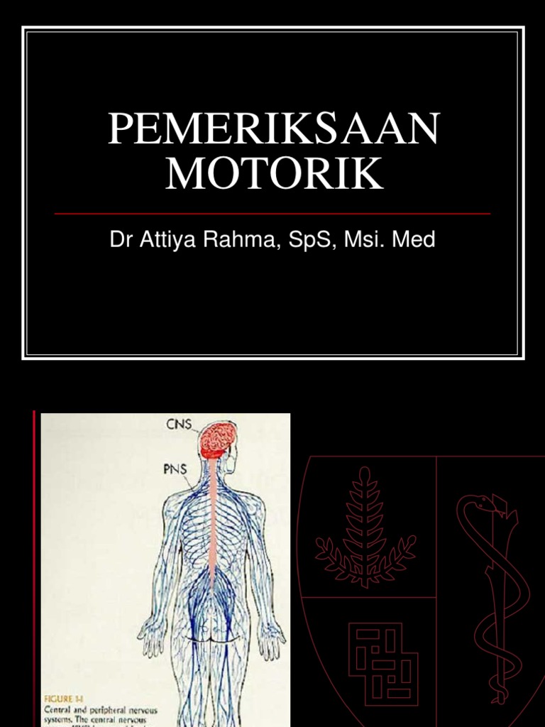 Pemeriksaan Motorik 2 | PDF