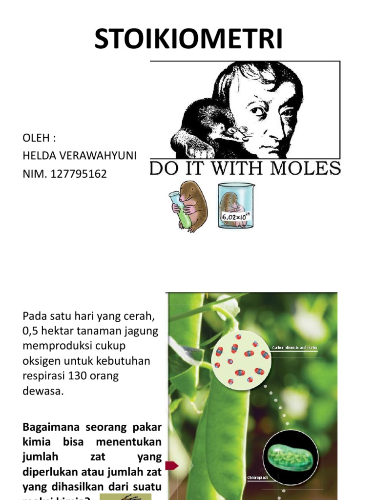 Presentation Stoikiometry Helda | PDF
