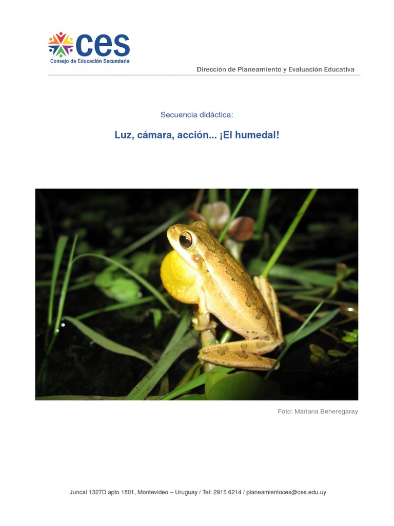 Actividades Didácticas sobre Humedales | PDF | Humedal | Agua