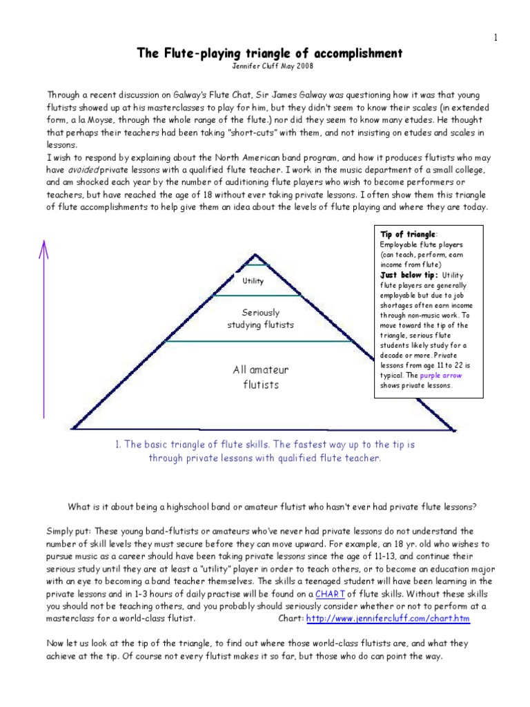 Triangle Profesional Flute | PDF | Flute | Orchestras