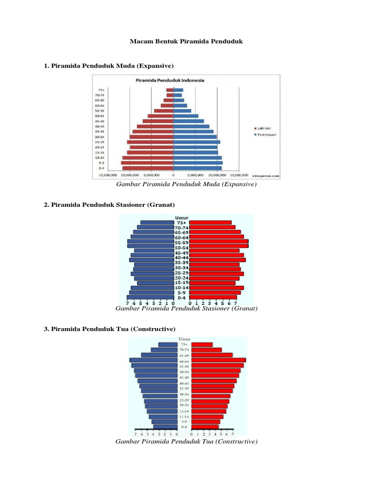 Macam Bentuk Piramida Penduduk | PDF