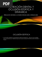 Oclusion Fosa Cuspide | PDF | Anatomia dental | Diente