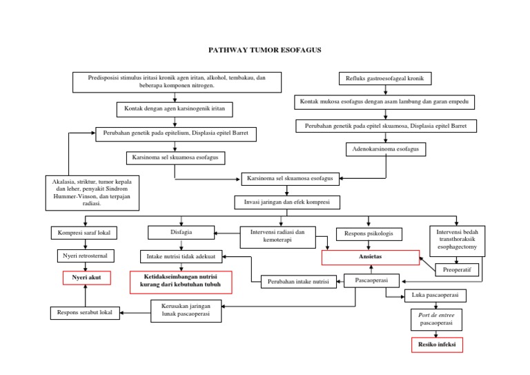 TUMOR Esofagus Pathway | PDF
