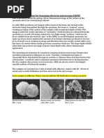 UG Powerpoint Template | PDF